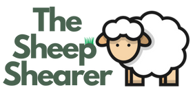 The Complete Guide to Fly Strike in Sheep – The Sheep Shearer
